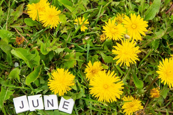 Happy june Stock Photos, Royalty Free Happy june Images | Depositphotos