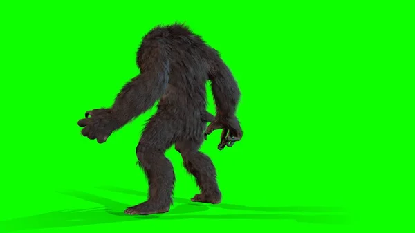 Hunter burr Stock Photos, Royalty Free Hunter burr Images | Depositphotos