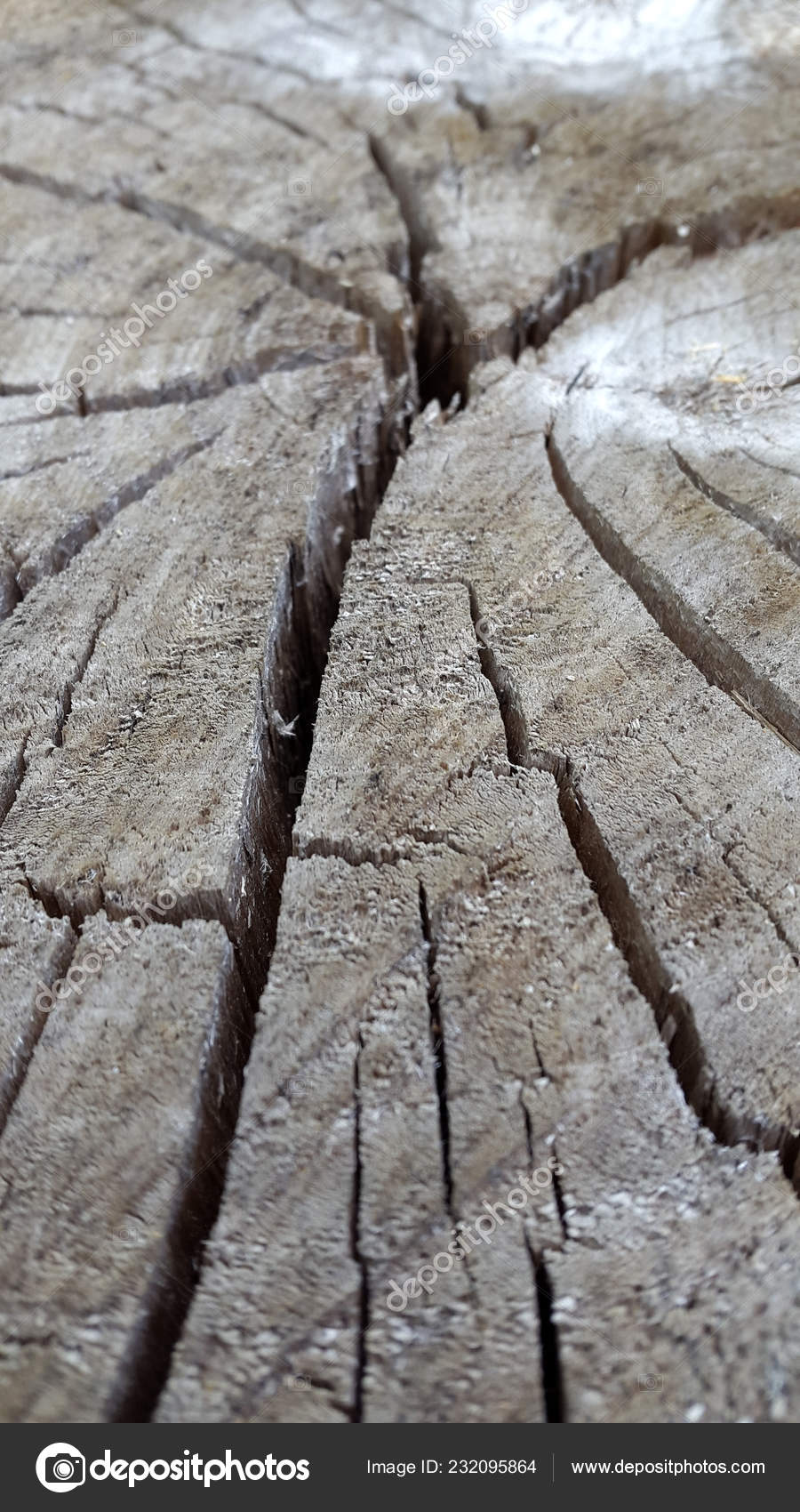 Butt End Sawn Wood Cracks Stock Photo by ©DENYSOFF 232095864