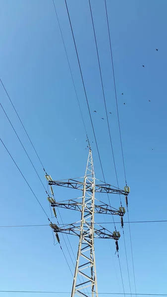 Pillar Pole Electric Wires Electrification Facility Stock Photo by ...