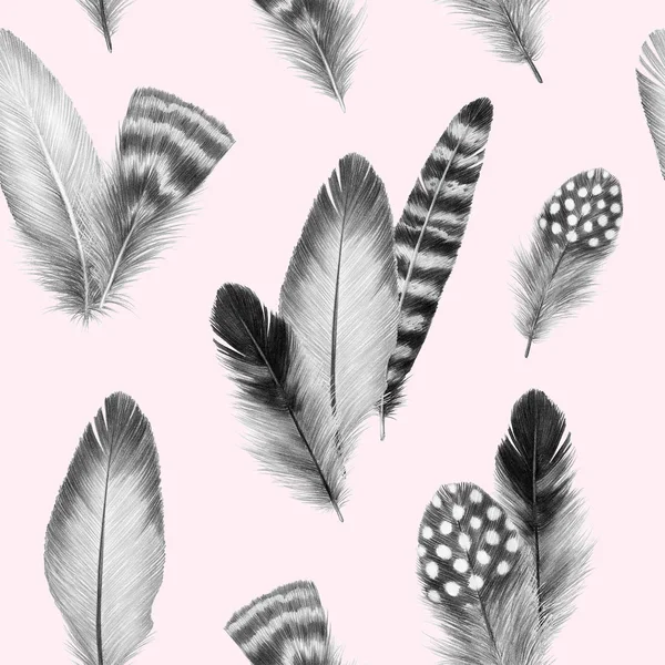 feathers sketch graphics interesting beautiful feather pencil drawing ...