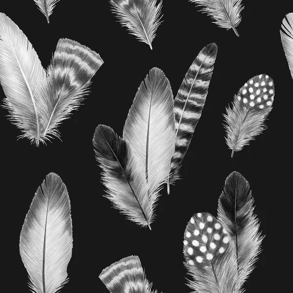 feathers sketch graphics interesting beautiful feather pencil drawing ...