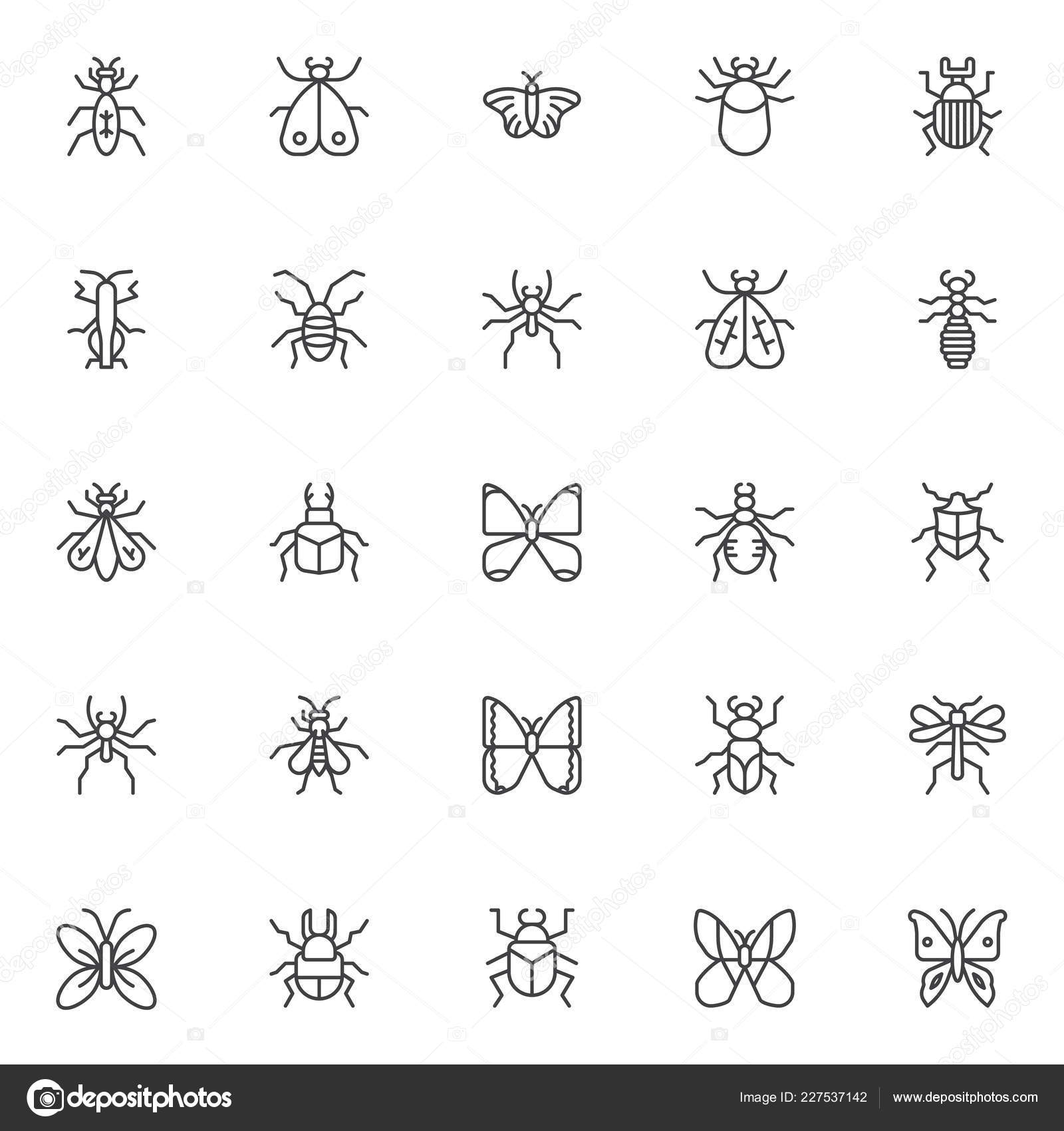 Los Insectos Los Insectos Esbozan Iconos Establecidos Colección ...