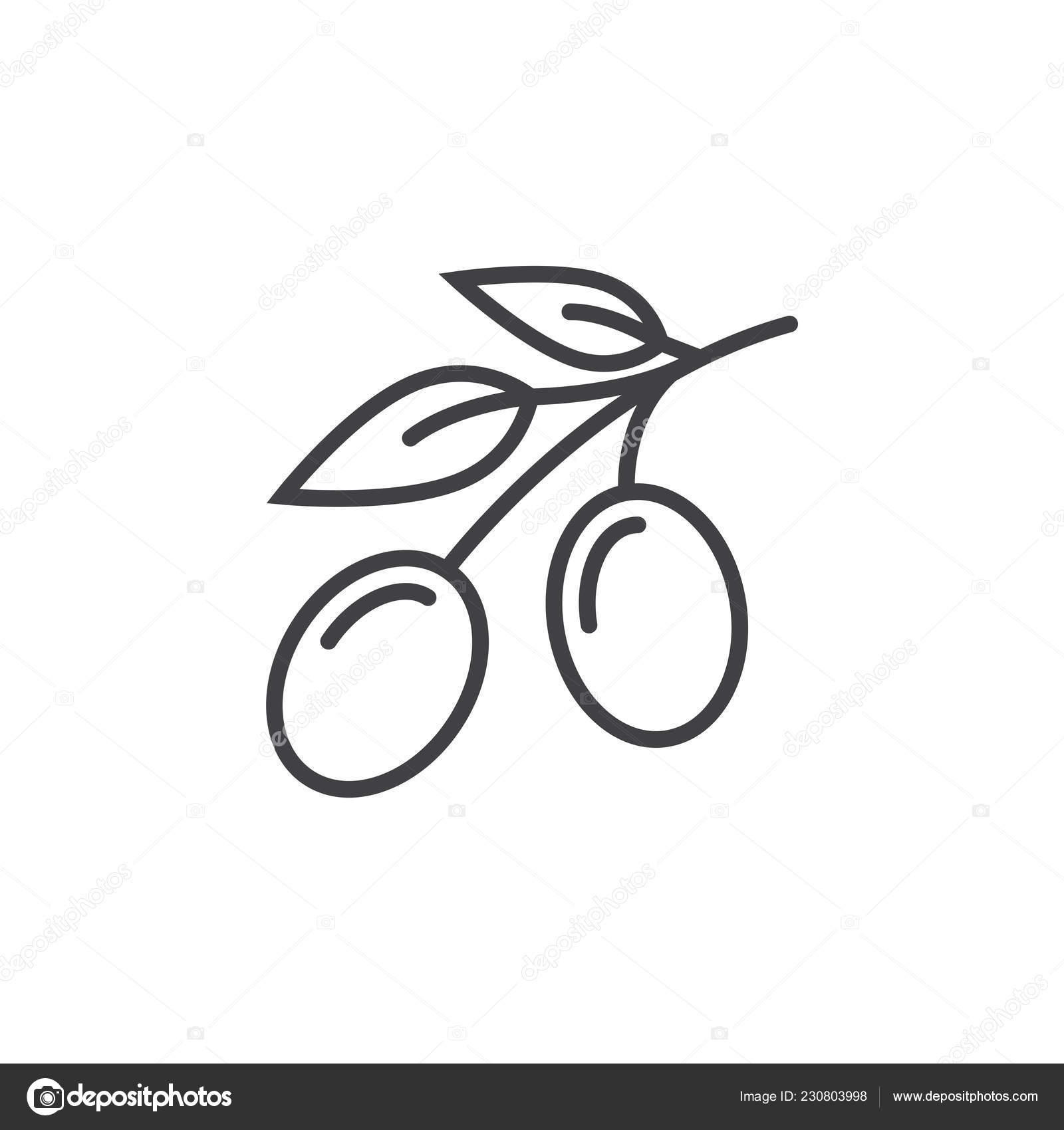 Olive Line Icon Outline Vector Sign Linear Pictogram Isolated White ...