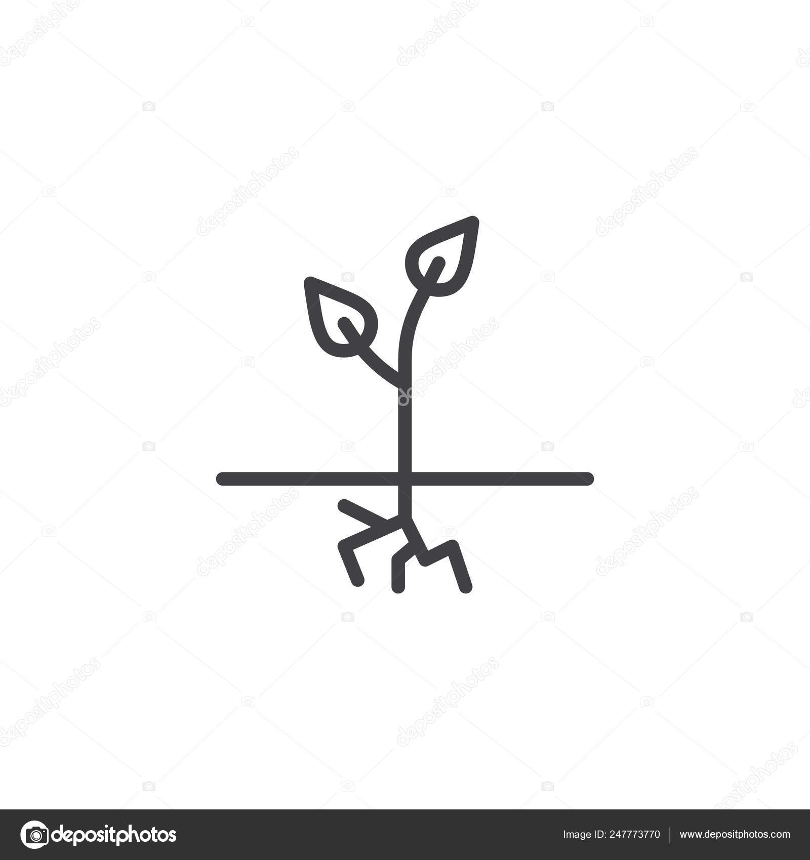 Young Plant Root Outline Icon Linear Style Sign Mobile Concept Stock ...