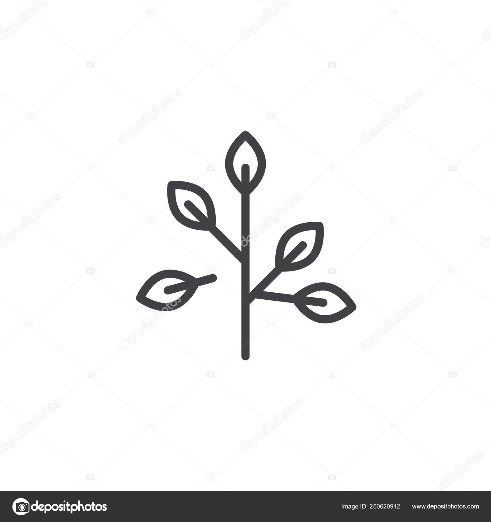 Tree Branch Outline