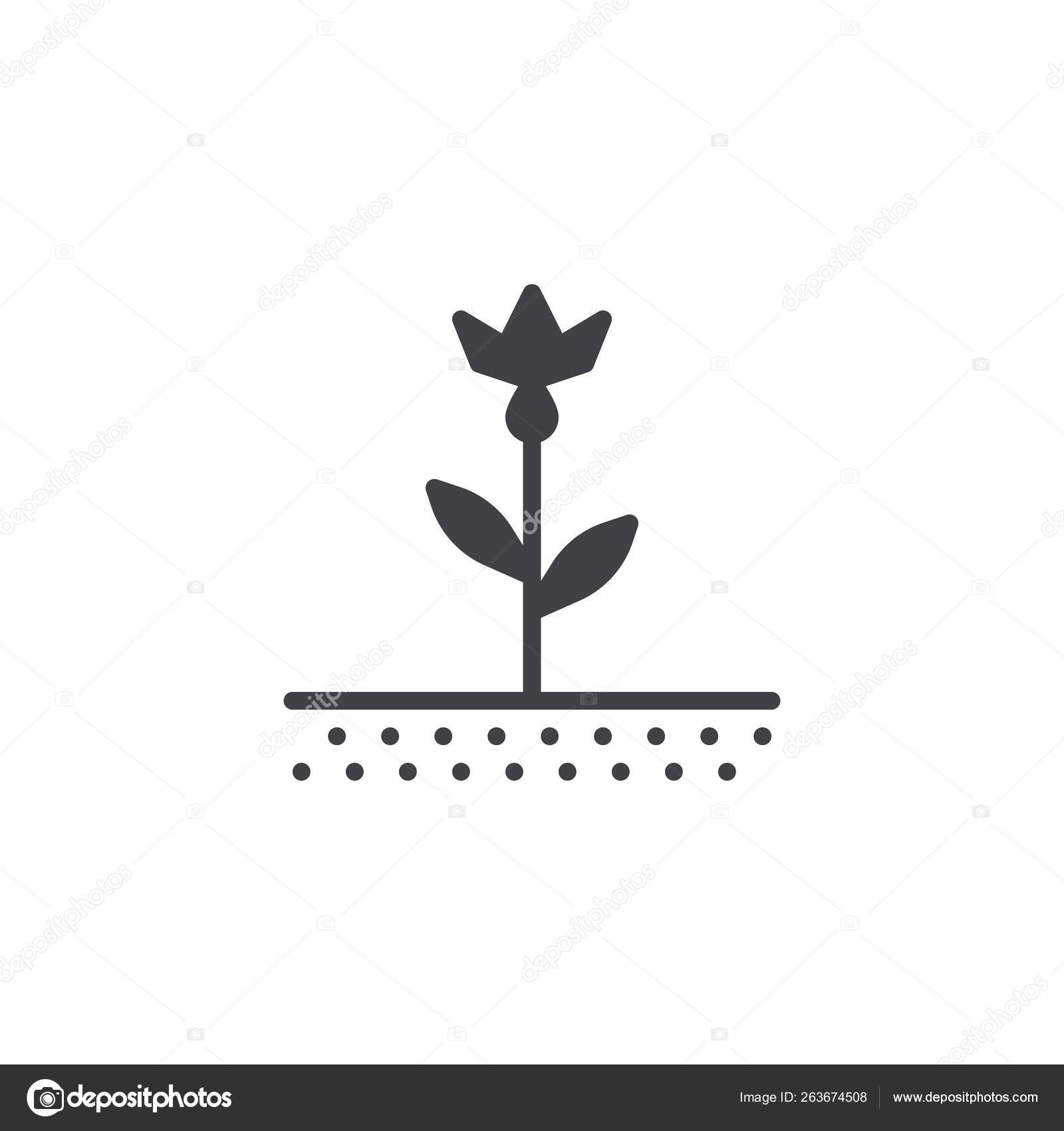Flower growth vector icon Stock Vector by ©avicons 263674508