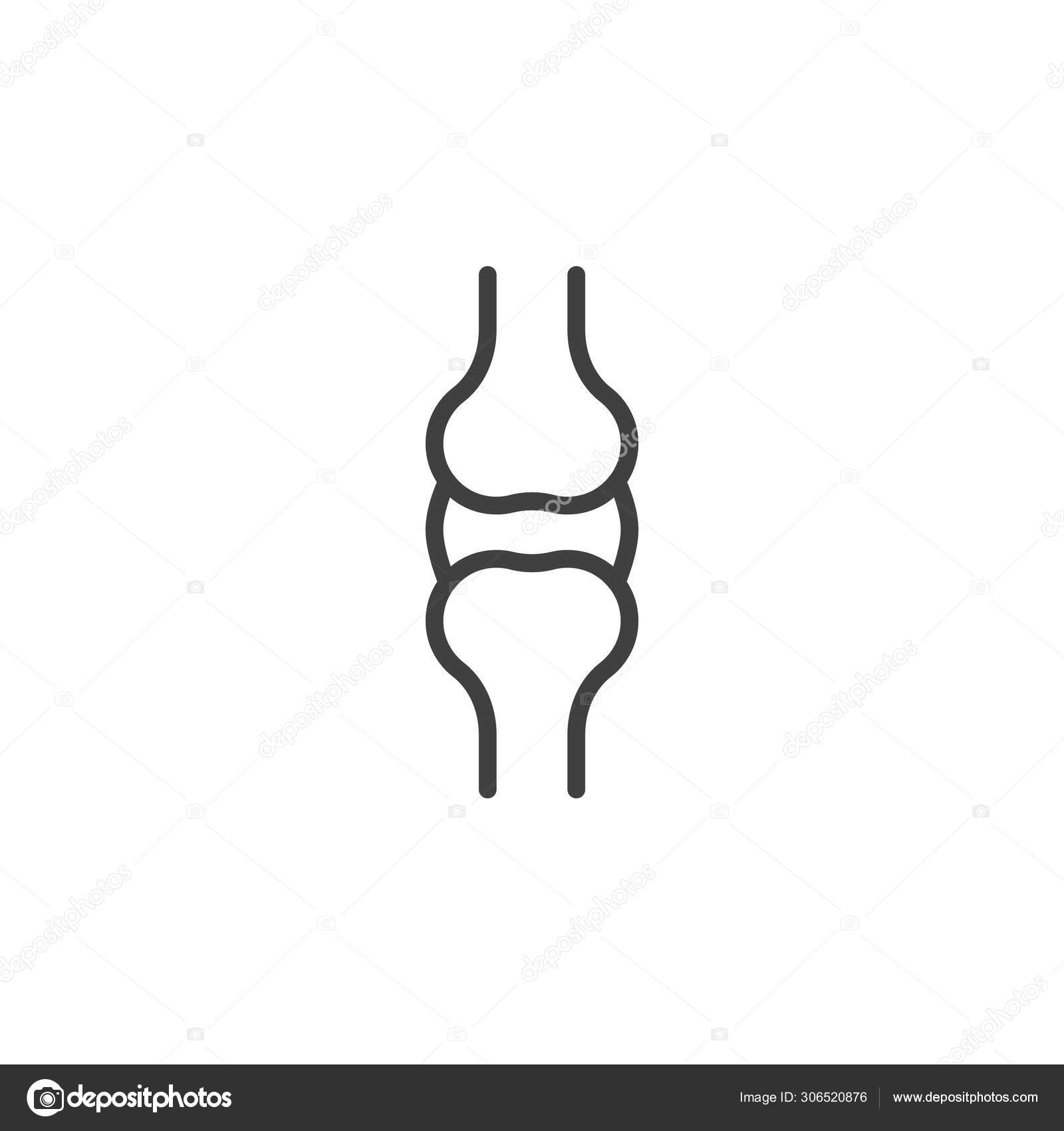 Knee bones line icon Stock Vector by ©avicons 306520876