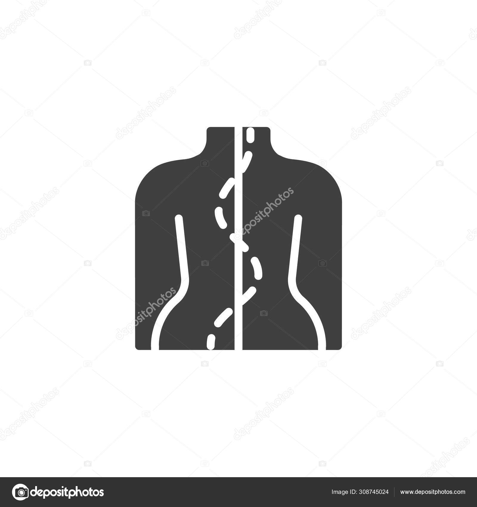 Human spine vector icon Stock Vector Image by ©avicons #308745024