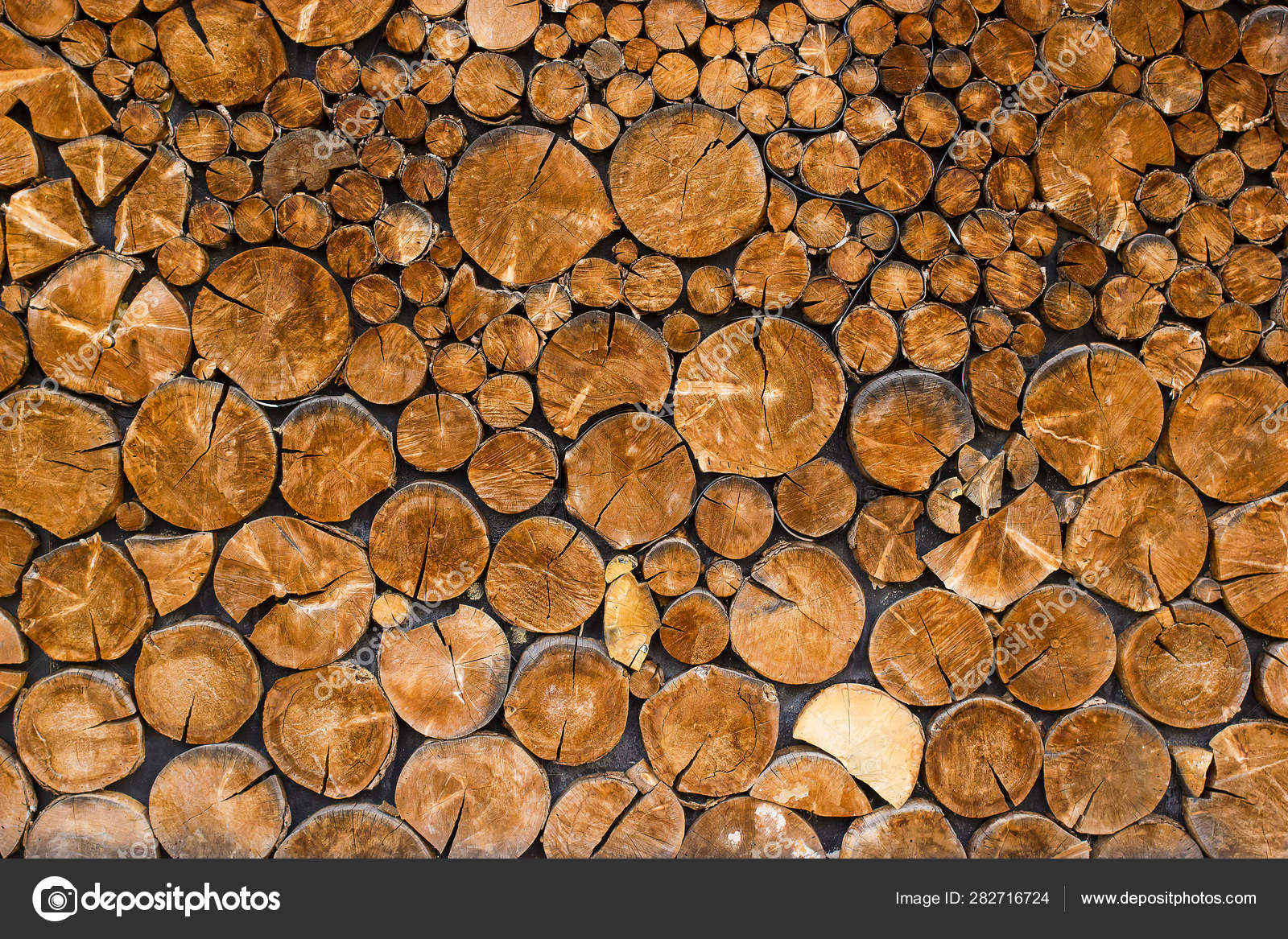 Log End Texture