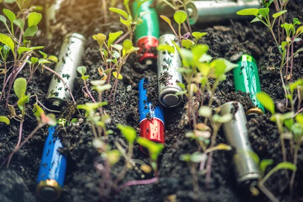 Used alkaline batteries lie in the soil where plants grow. The concept ...