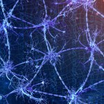 Neuronet Stock Photo by ©whitehoune 24598607