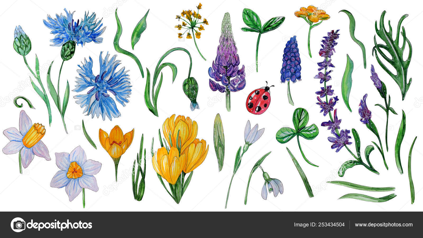 Hand painted watercolor set of spring flowers. — Stock Photo © Tasha ... Hand painted watercolor set of spring flowers. — Stock Photo © Tasha ...
