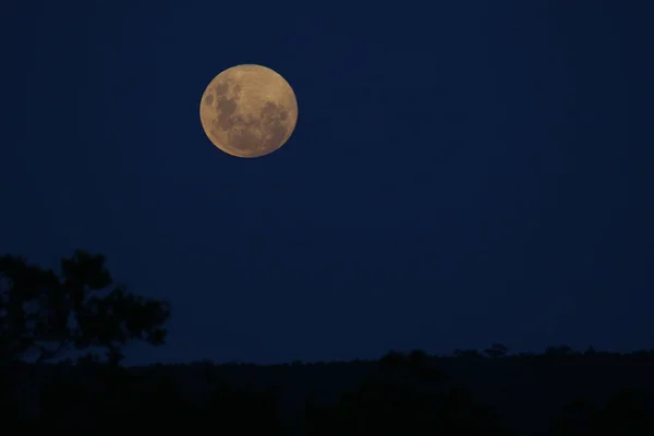Full moon australia Stock Photos, Royalty Free Full moon australia ...