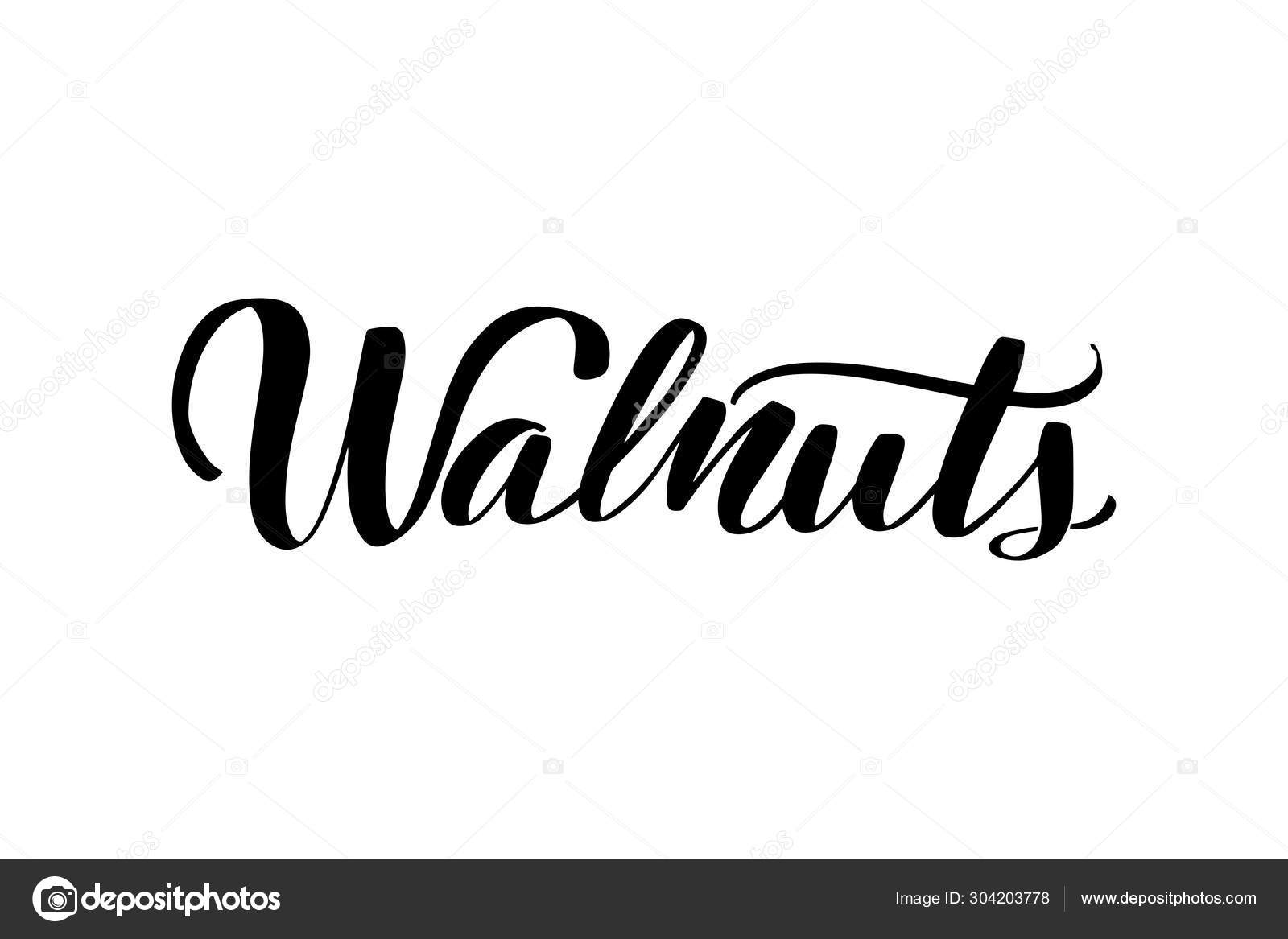 Inspirational handwritten brush lettering . Vector calligraphy ...