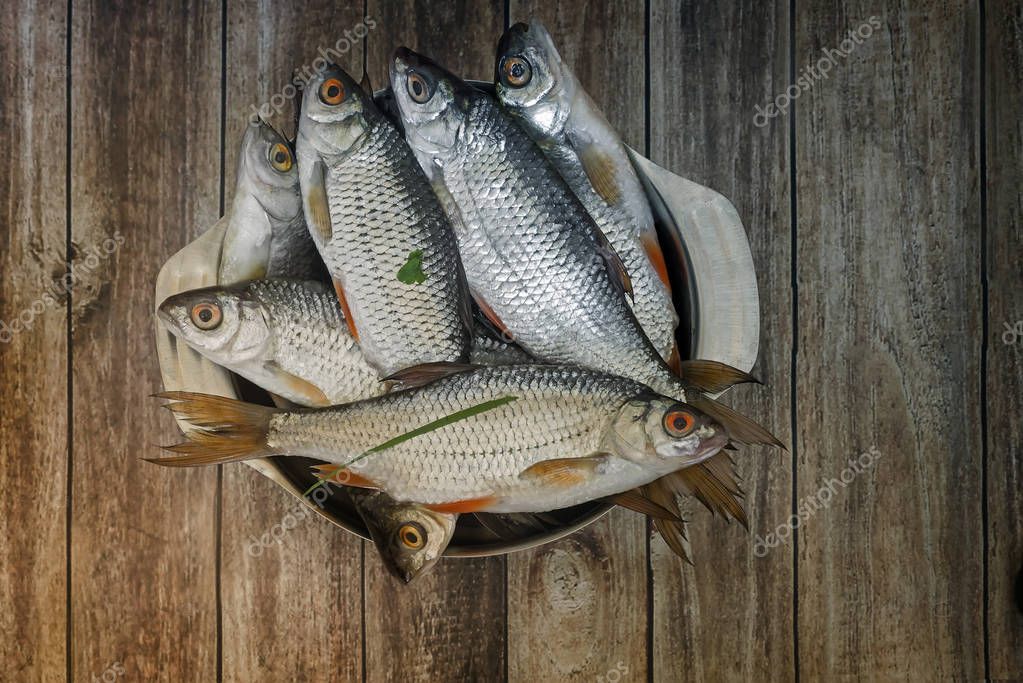 Pescado fresco se captura en el río y se pone en la mesa en un ...