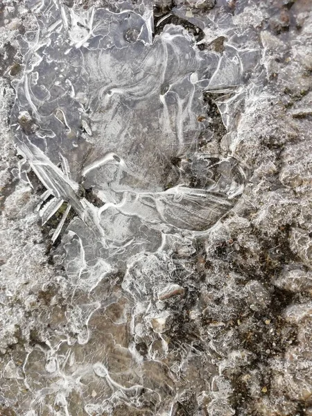 Cool nymphs ice pie pics Stock Photos, Royalty Free Cool nymphs ice pie ...