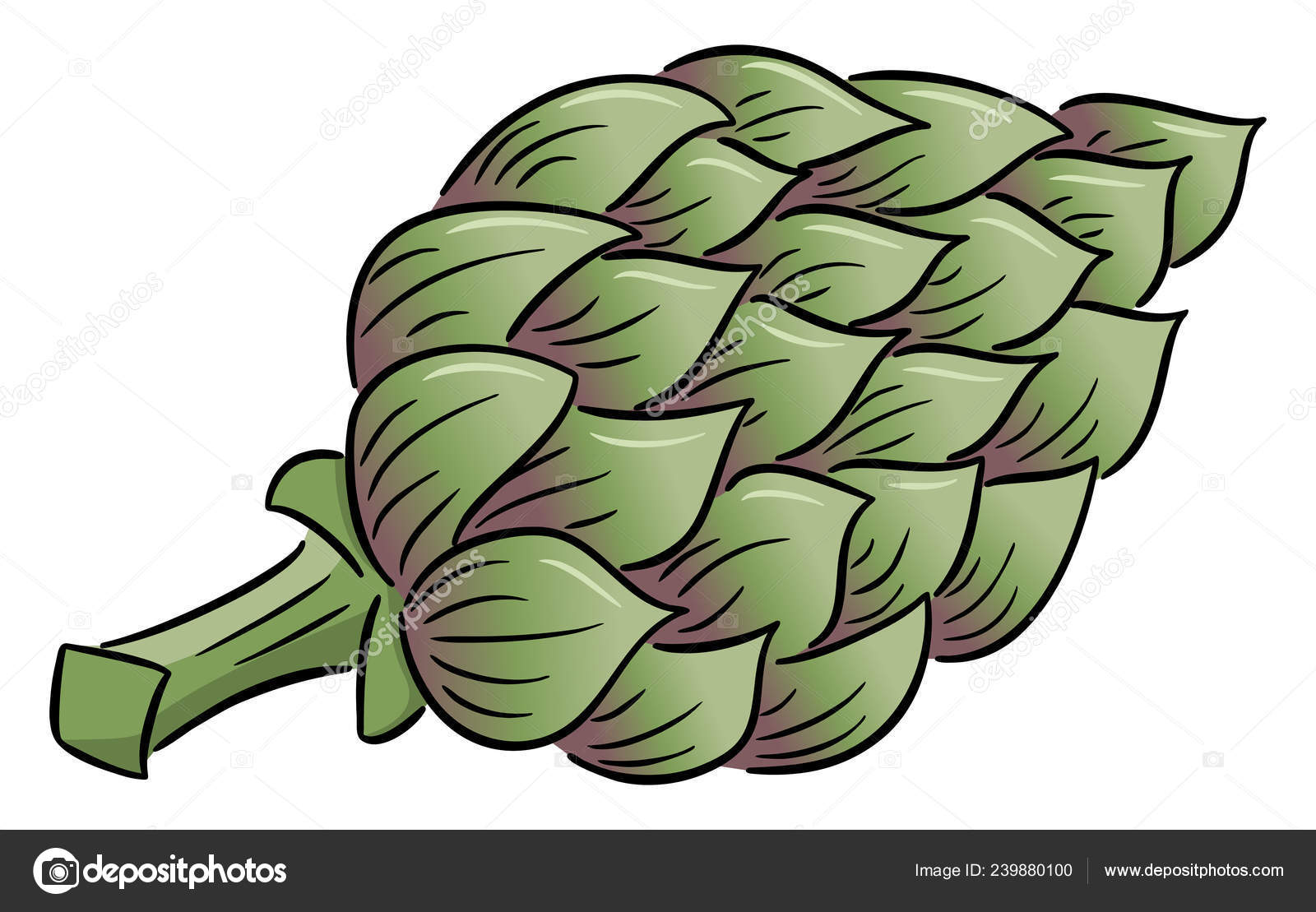 Ilustración Vectorial Una Alcachofa Dibujos Animados Dibujada Vector de stock por ©antimartina ...
