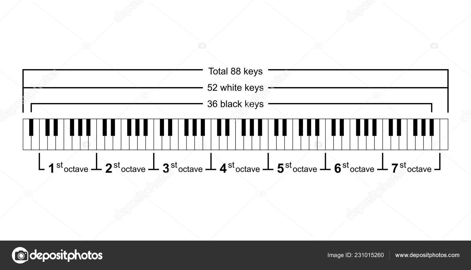 Piano Keyboard Diagram Piano Keyboard Layout Background, 43% OFF Piano Keyboard Diagram Piano Keyboard Layout Background, 43% OFF