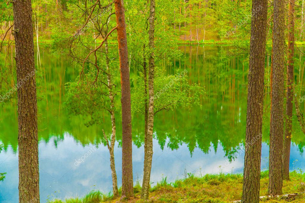 El lago del Diablo, misterioso lago en medio de bosque, bosque y ...