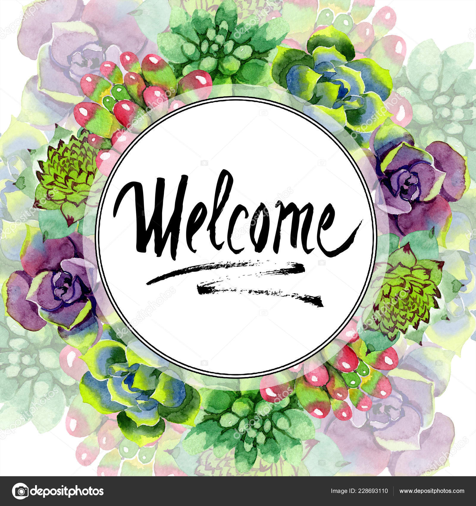 Amazing Succulents Welcome Handwriting Monogram Calligraphy Watercolor ...