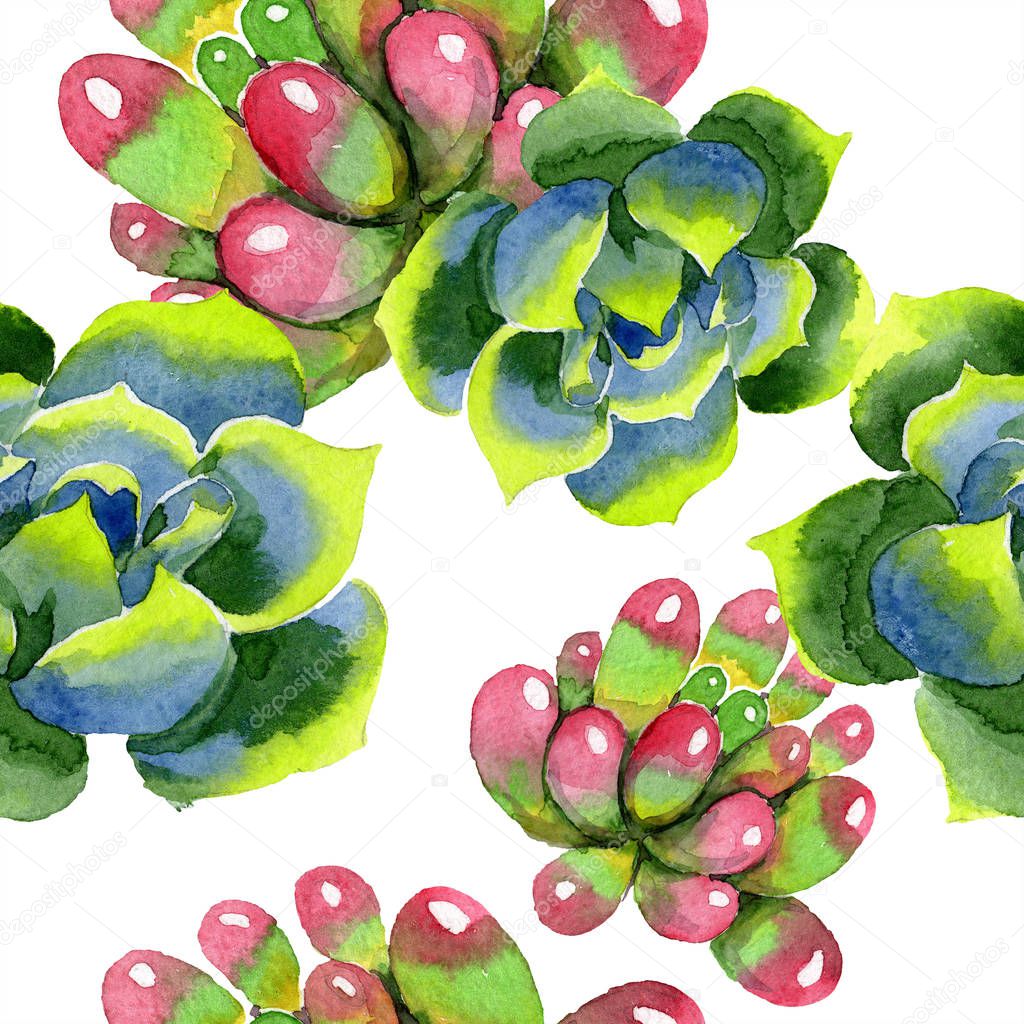 Incre bles suculentas. Ilustraci n de fondo acuarela. Patr n de fondo sin costuras. Textura de ...