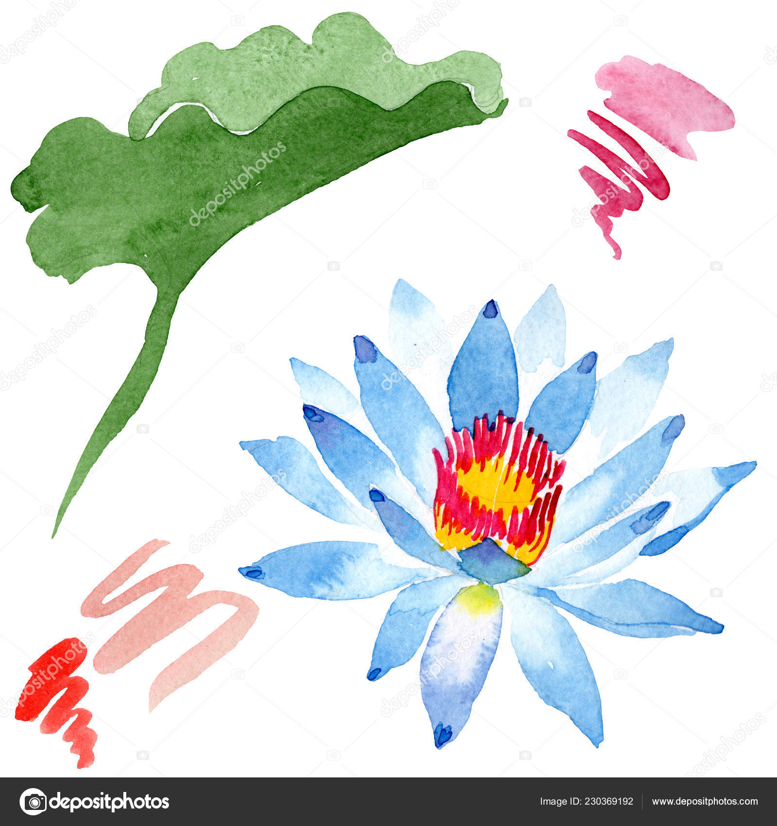 Blue Lotus Drawing