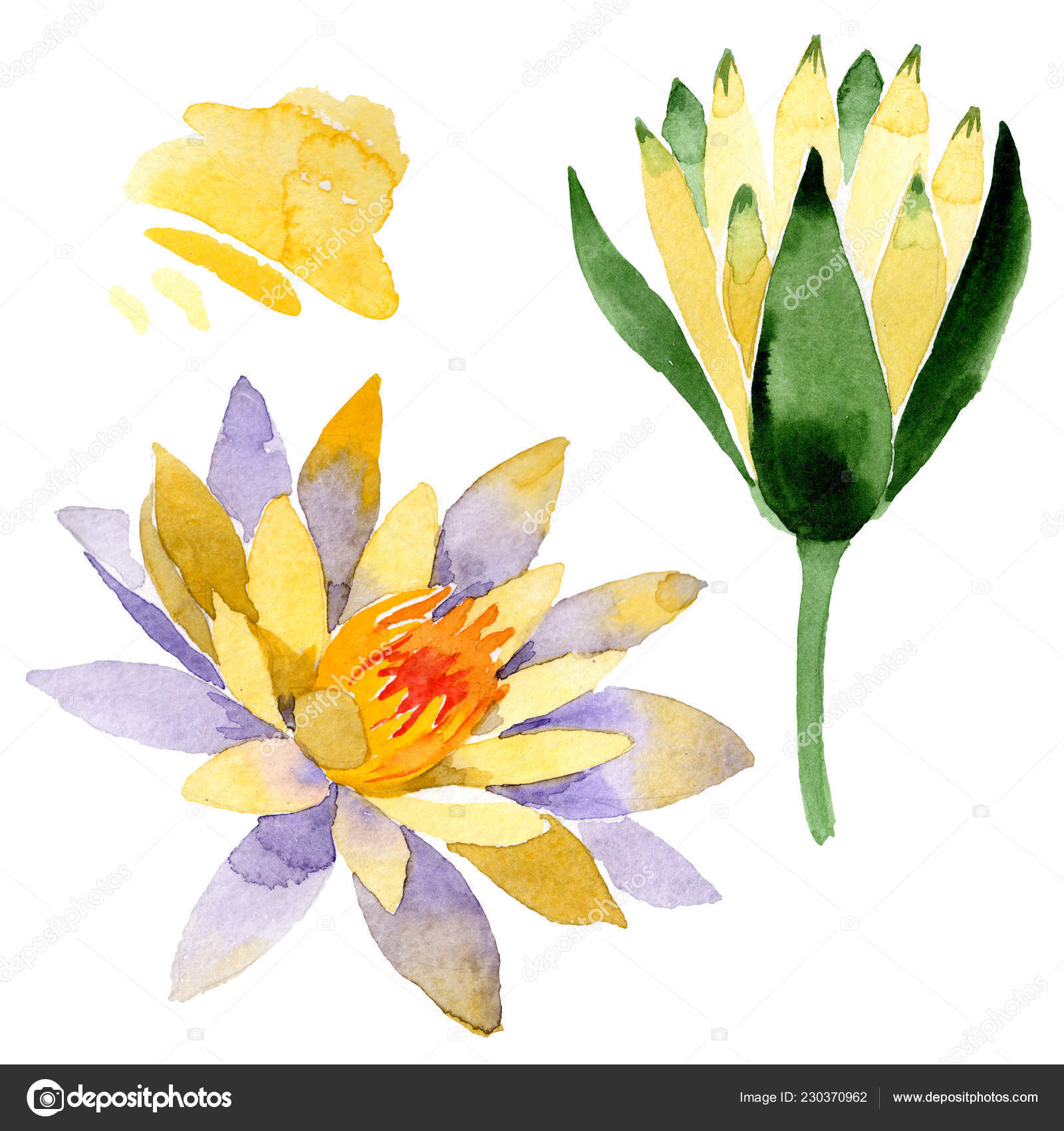 Watercolor Lotus Flower Drawing | Best Flower Site
