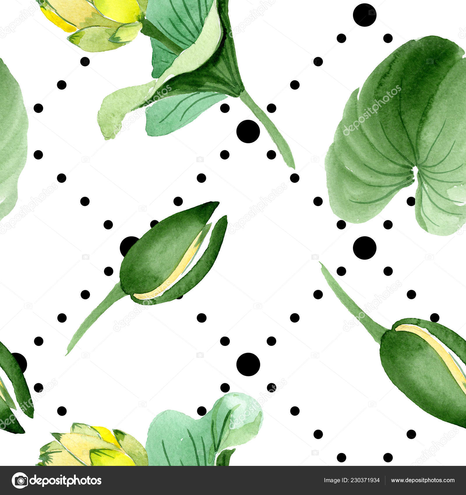 Beautiful Yellow Lotus Flowers Isolated White Watercolor Background ...