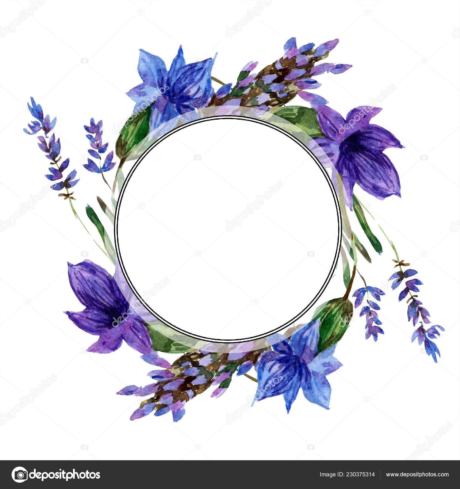 Lavender Flowers Drawing