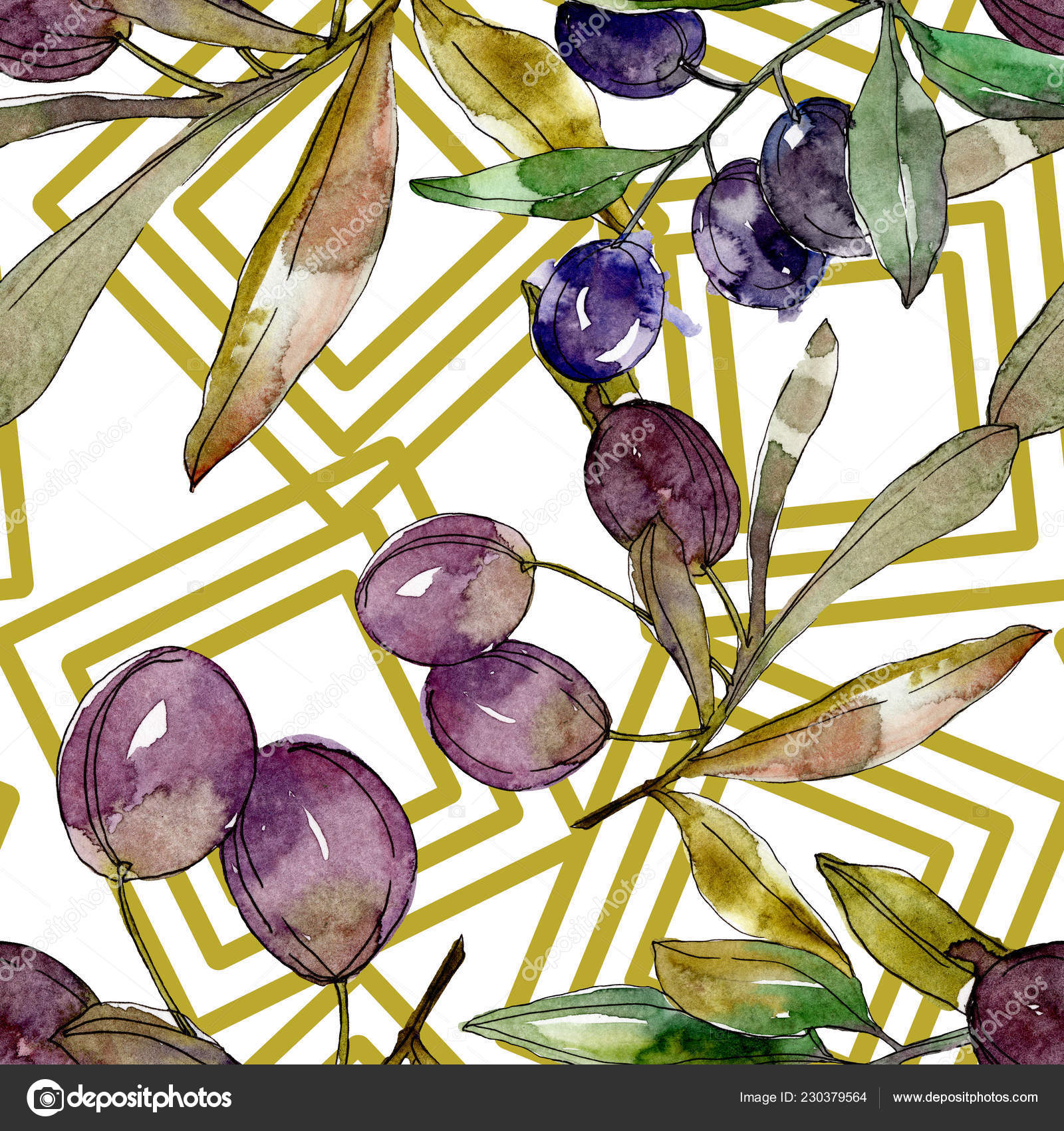 Black Olives Branches Green Leaves Botanical Garden Floral Foliage ...