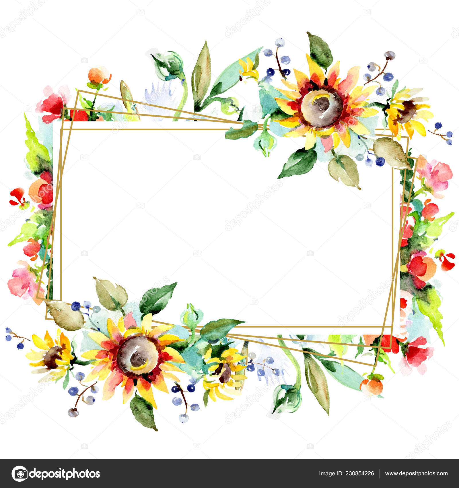 ©바탕에 수채화 꽃입니다 수채화 그리기 해당입니다 꽃다발 요소입니다 프레임 테두리 Andreyanush의 230854226 스톡 일러스트레이션