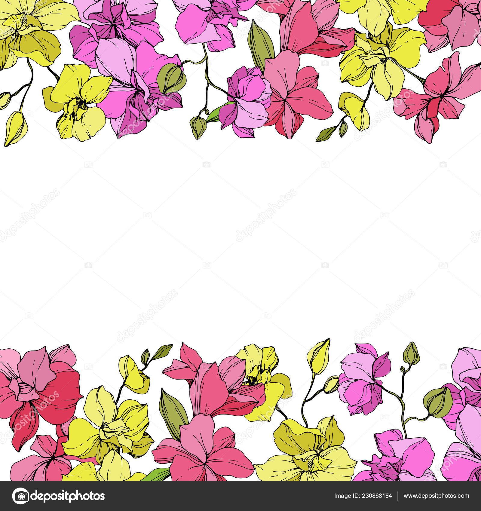 Beautiful Pink Yellow Orchid Flowers Engraved Ink Art Floral Borders ...