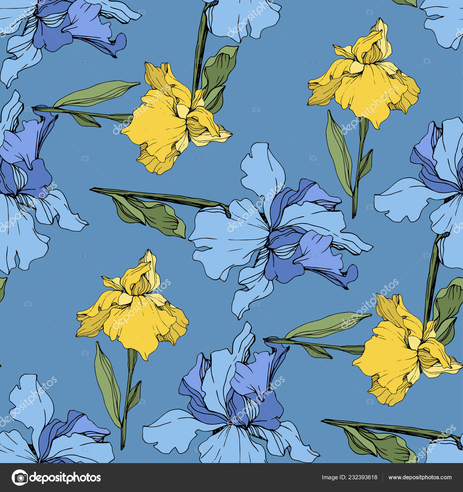 Vector Blue Yellow Irises Wildflowers Isolated Blue Engraved Ink Art ...