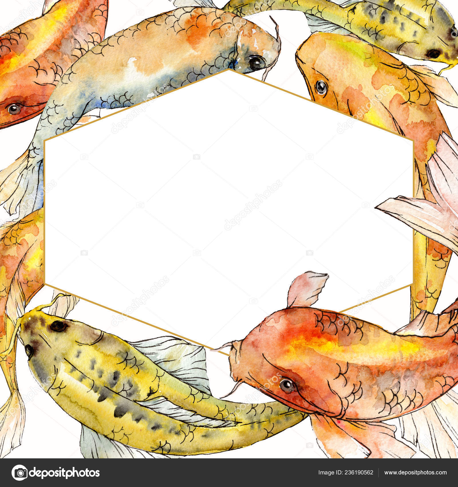 Tropical Fish Border