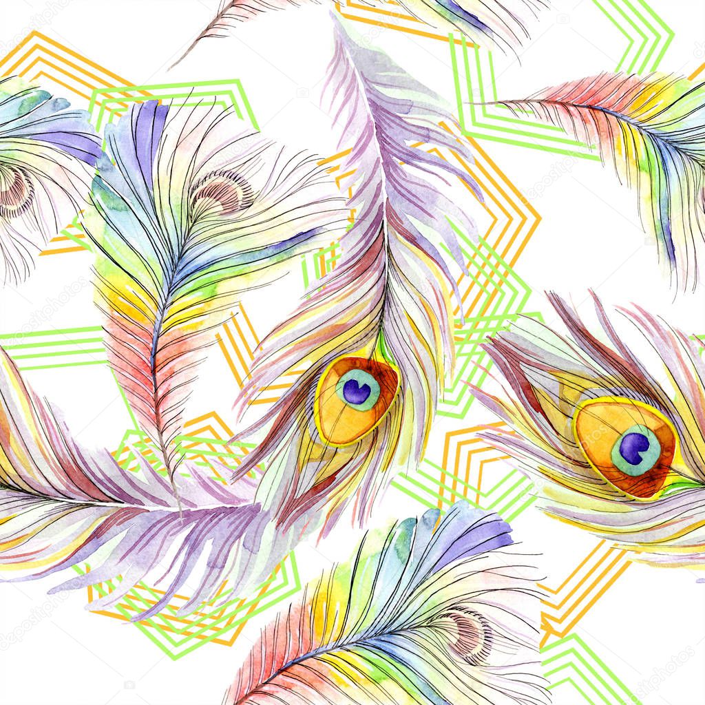 Pluma colorida de p jaro de ala aislada. Conjunto de ilustraci n de fondo acuarela. Acuarela ...