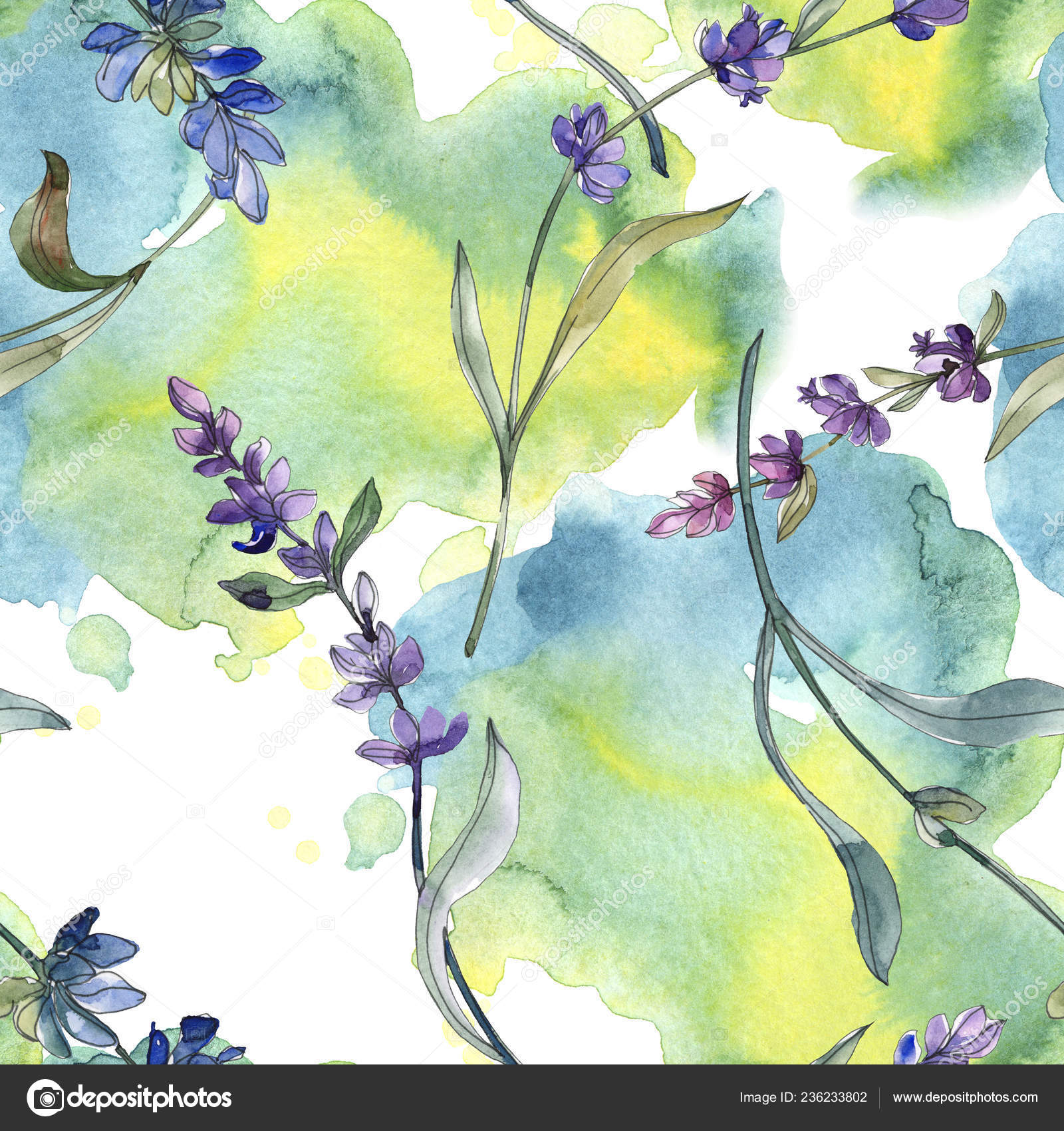 Purple Lavender Watercolor Illustration Set Seamless Background Pattern ...