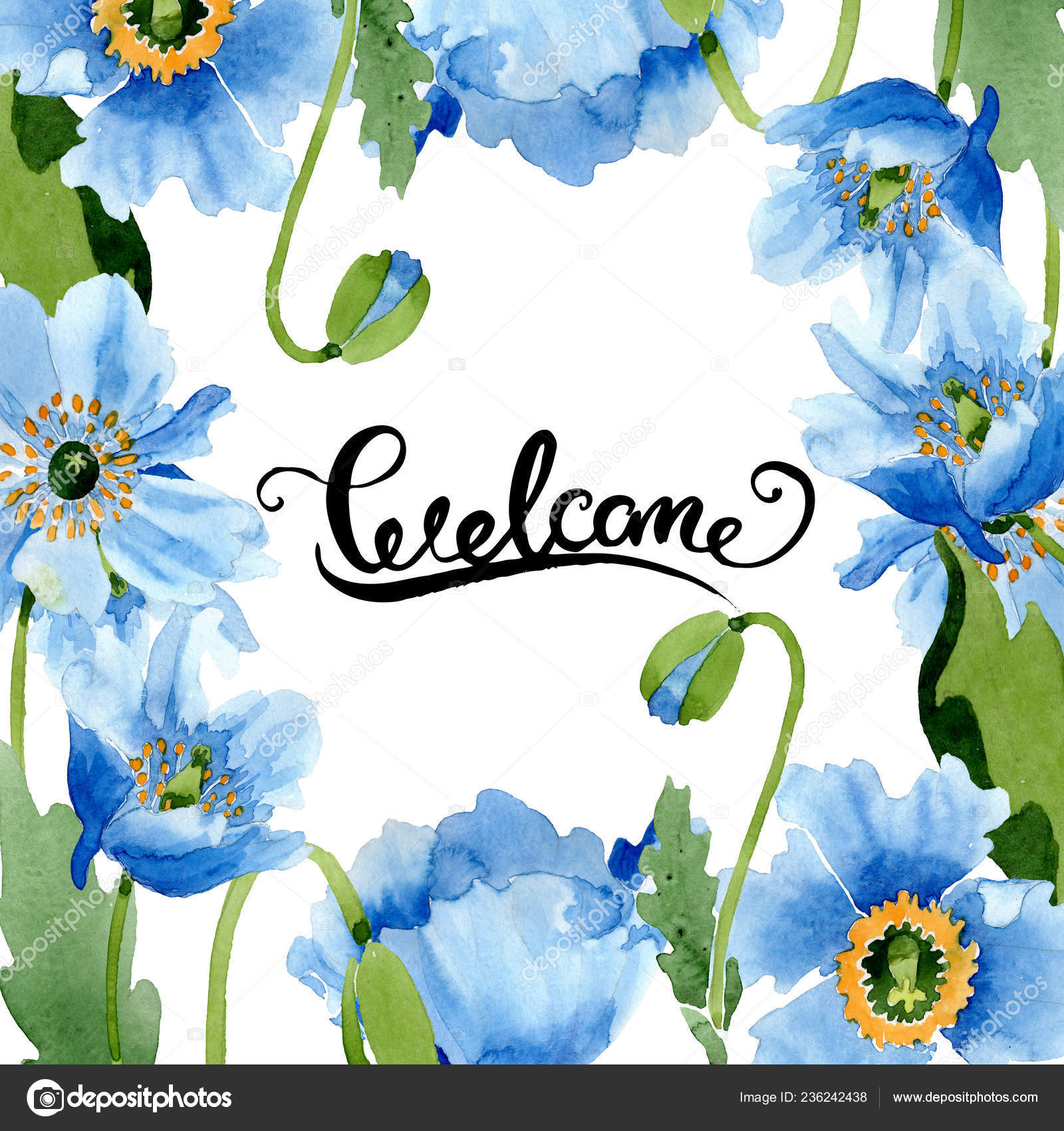 Blue Poppies Leaves Buds Welcome Lettering Isolated White Watercolor ...