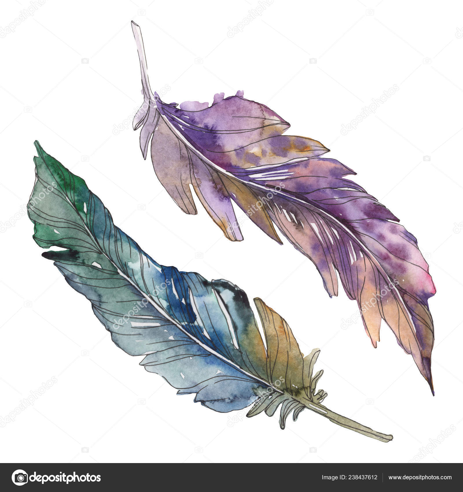 Bird Feather Wing Isolated Watercolor Background Illustration Set ...