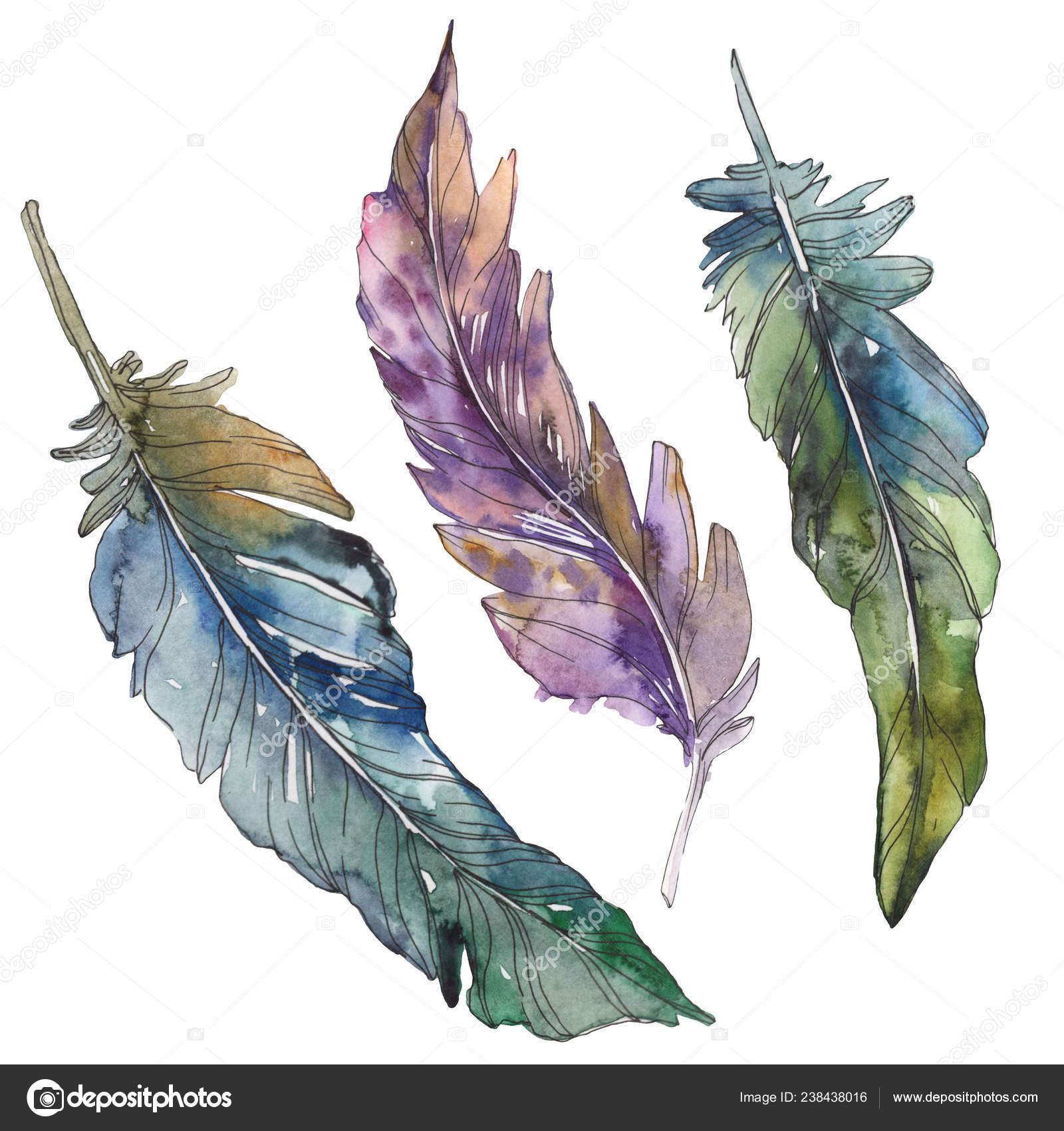 Bird Feather Wing Isolated Watercolor Background Illustration Set ...