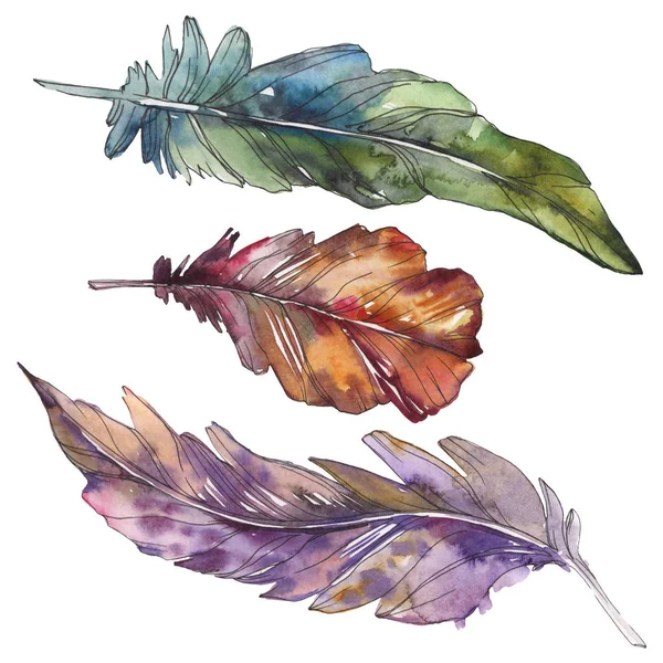Bird Feather Wing Isolated Watercolor Background Illustration Set ...