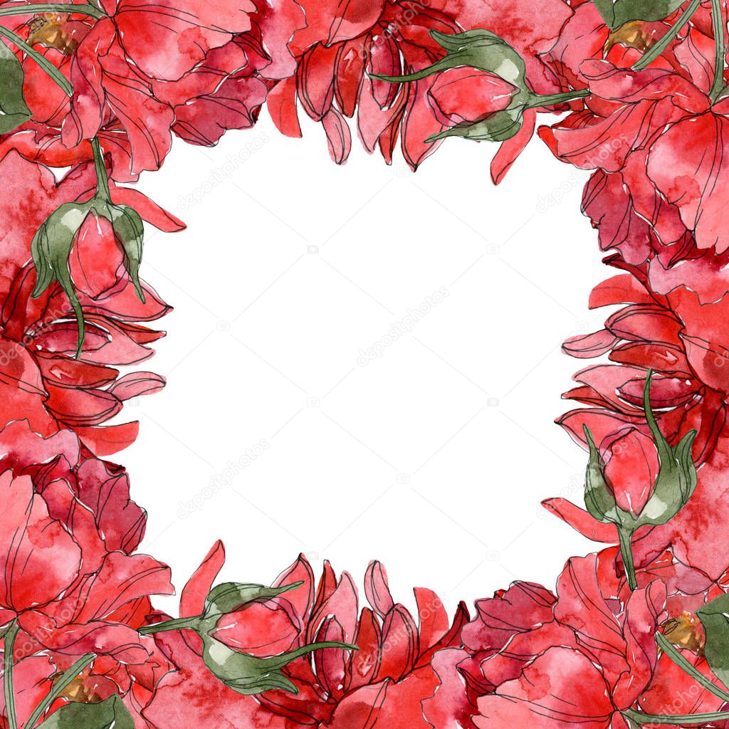 Peonías rojas acuarela fondo ilustración conjunto aislado en blanco ...