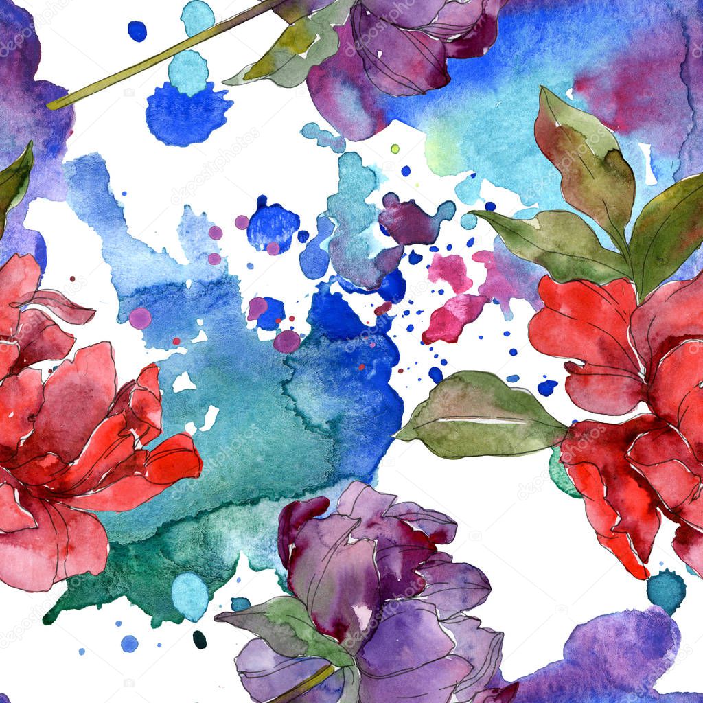 Peonías rojas y moradas. Juego de ilustración en acuarela. Patrón de ...