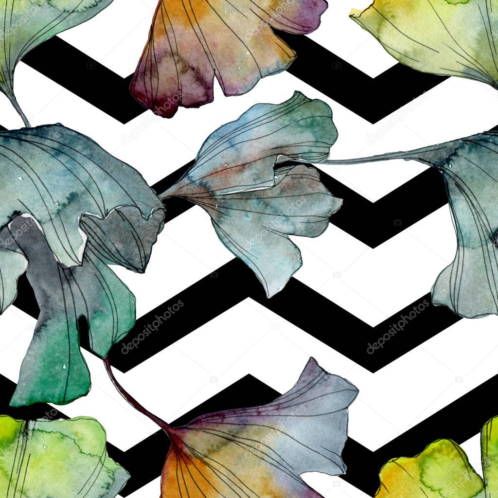 Ginkgo biloba planta de hojas jard n bot nico follaje floral. Juego de ilustraci n en acuarela ...