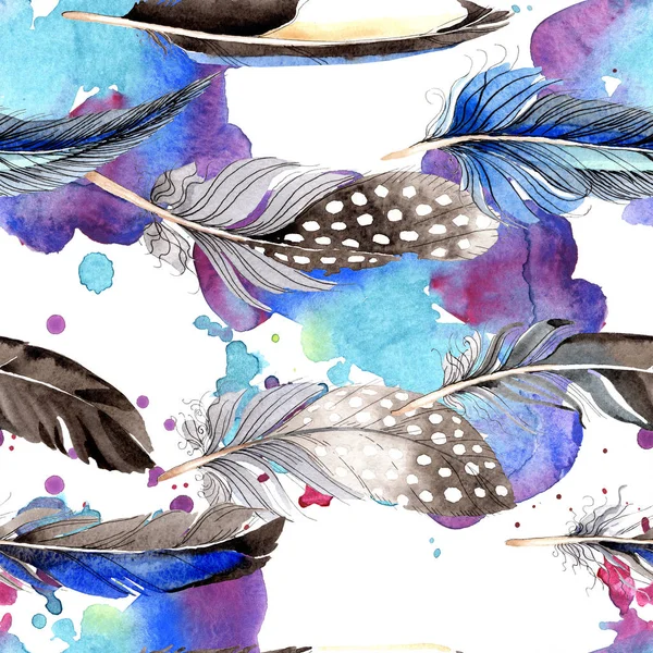Bird feathers from wing. Watercolor background illustration set ...