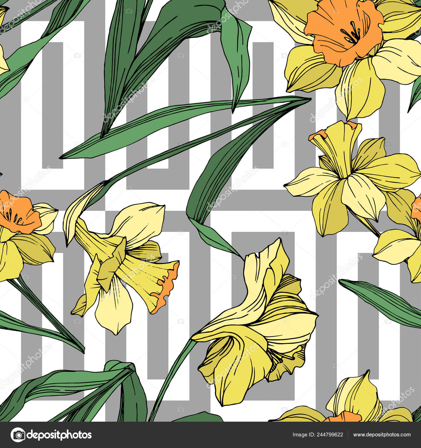 Vector Yellow Narcissus Floral Botanical Flower Wild Spring Leaf ...