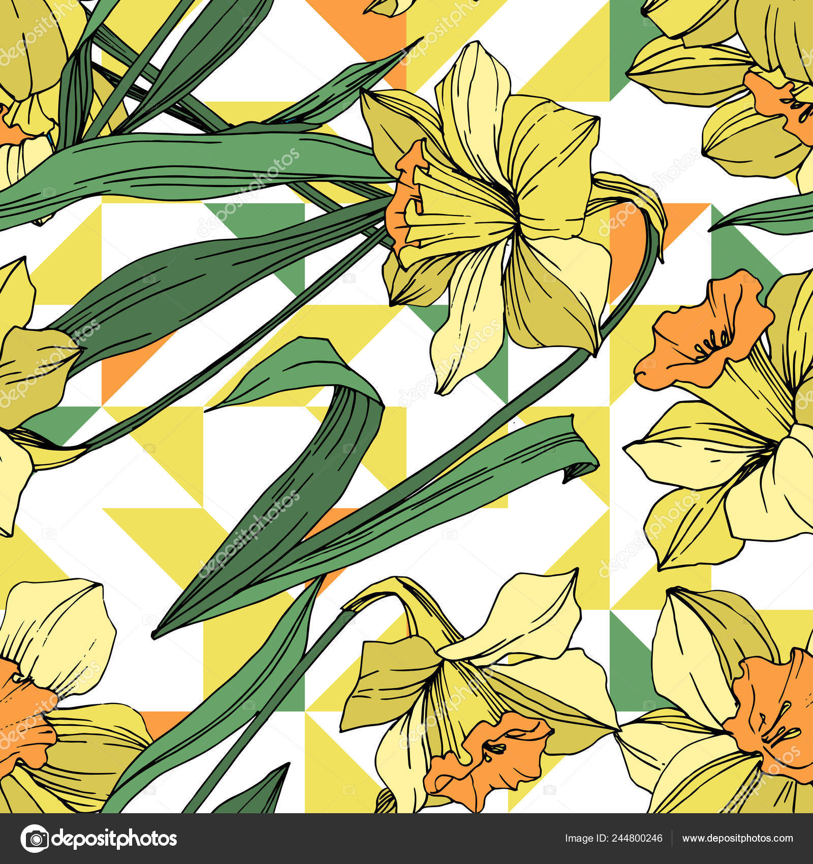 Vector Yellow Narcissus Floral Botanical Flower Wild Spring Leaf ...