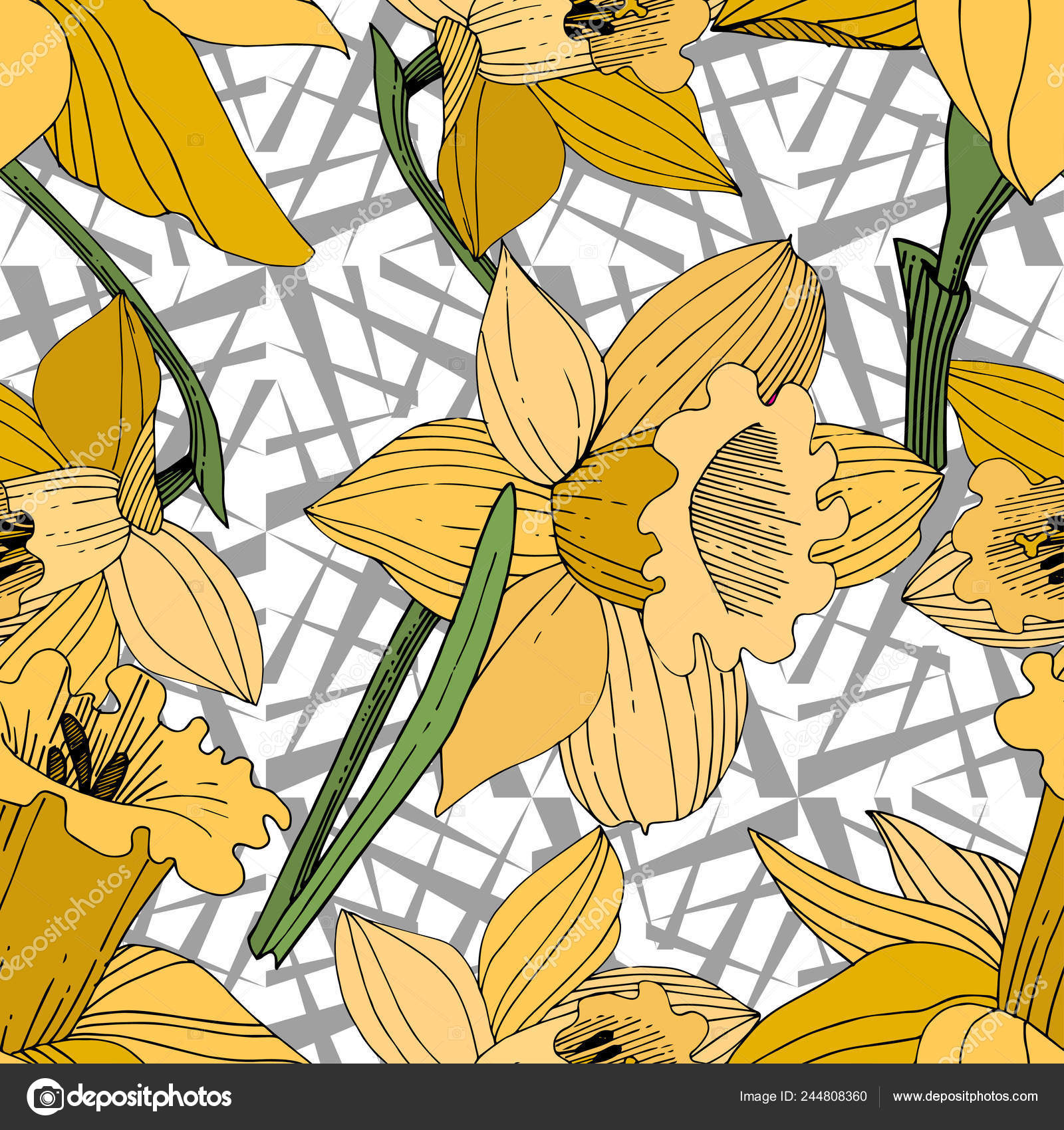 Vector Yellow Narcissus Floral Botanical Flower Wild Spring Leaf ...