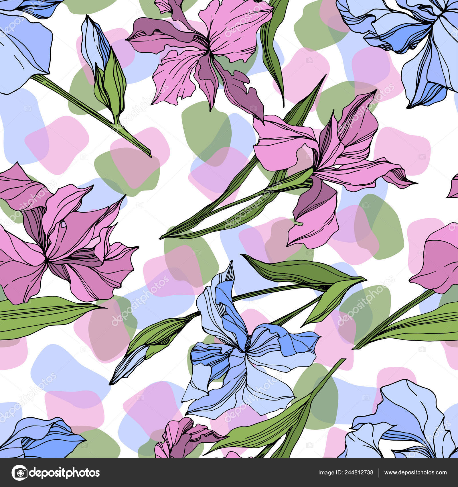 Vector Pink Blue Irises Engraved Ink Art Seamless Background Pattern ...