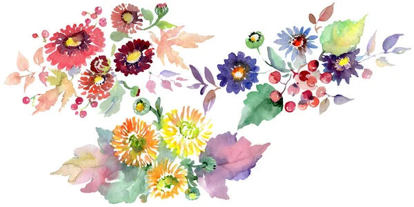 Ramos con flores y frutas. Conjunto de ilustración de fondo acuarela. Ramos aislados elemento de ...